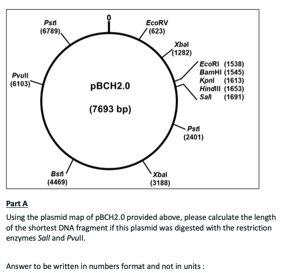 Solved Part A Using the plasmid map of pBCH2.0 provided | Chegg.com