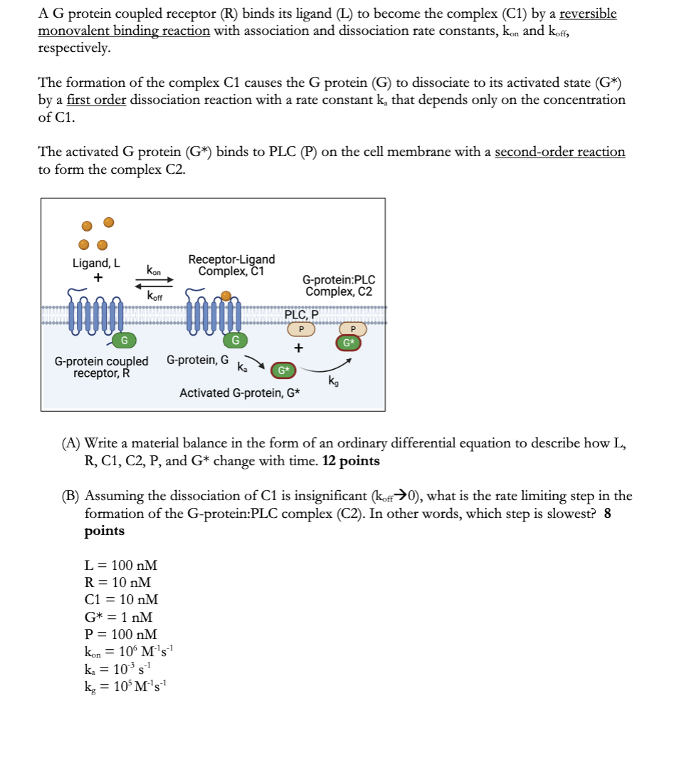 Solved A G protein coupled receptor (R) binds its ligand (L) | Chegg.com
