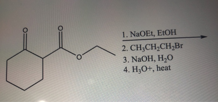 Solved 1. NaOEt, EtOH 2. CH3CH2CH Br 3. NaOH, H20 4. H2O+, | Chegg.com