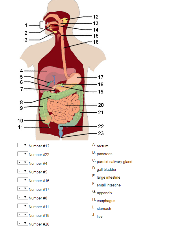 Solved 4 17 20 21 23 A rectum Number #12 Number #22 Number | Chegg.com