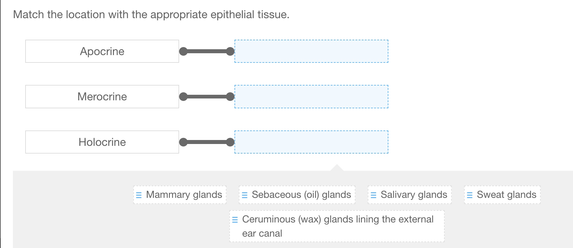 Solved Match the location with the appropriate epithelial | Chegg.com