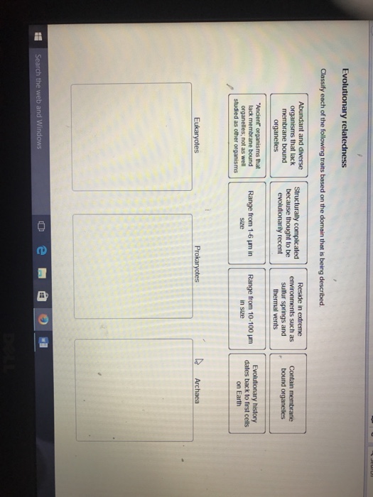 Solved Classify each of the following traits based on the | Chegg.com