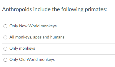 Solved The discovery of the fossil Archicebus indicates that | Chegg.com