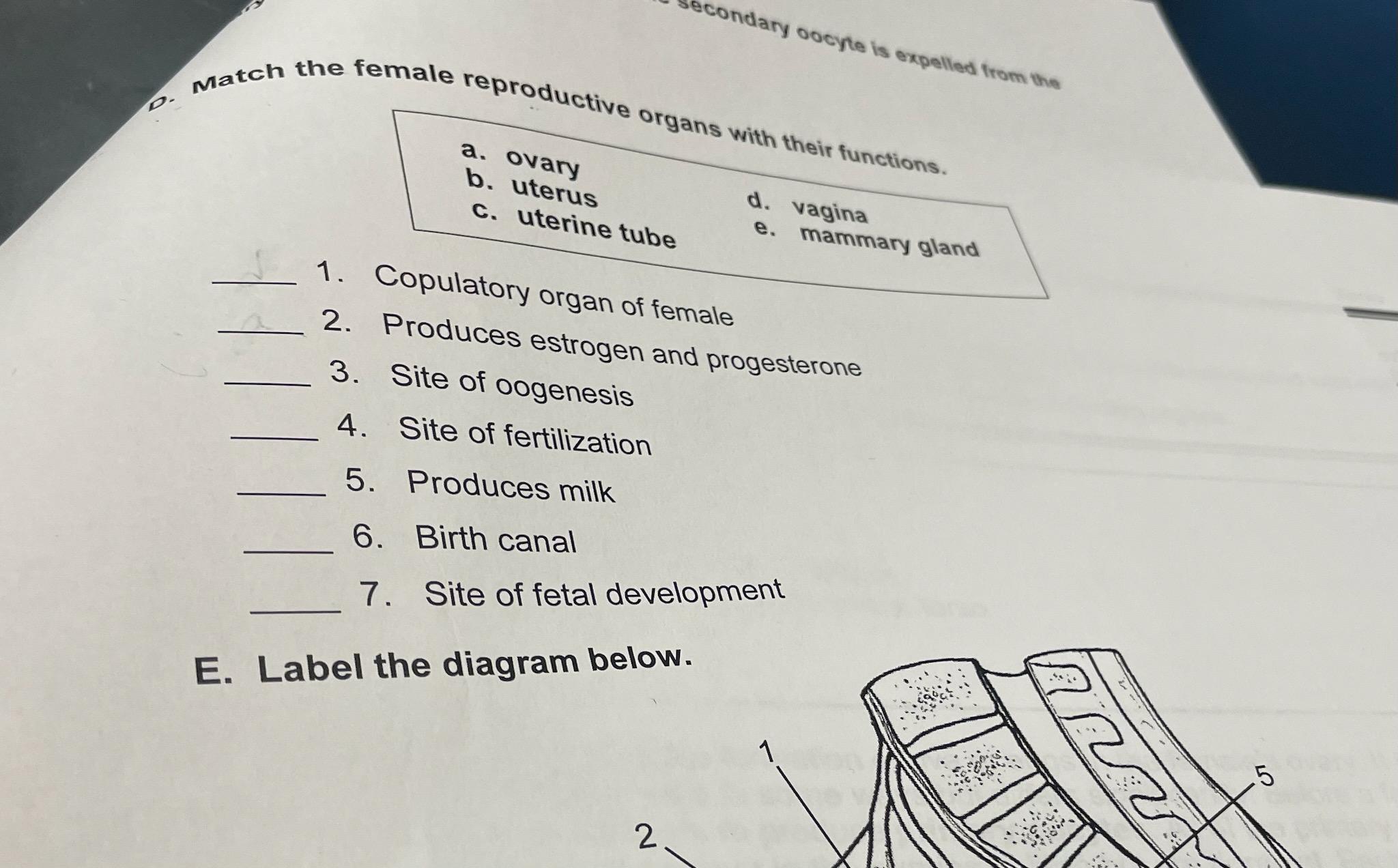 Solved D. ﻿Match the female renra.Copulatory organ of | Chegg.com