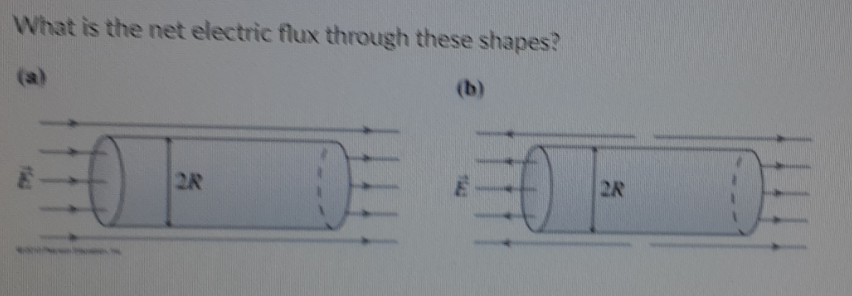 Solved What is the net electric flux through these shapes? | Chegg.com
