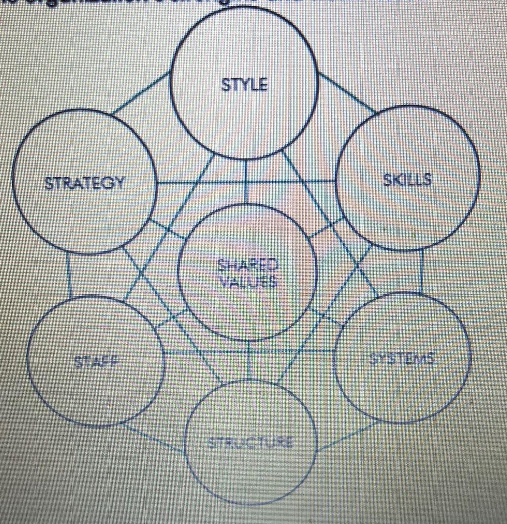 Solved McKinsey 7S Model Instructions: For your project | Chegg.com