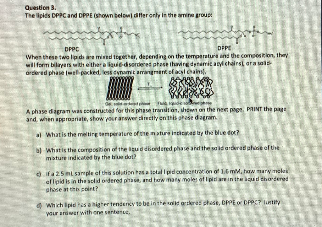 Solved Question 3. The lipids DPPC and DPPE (shown below) | Chegg.com