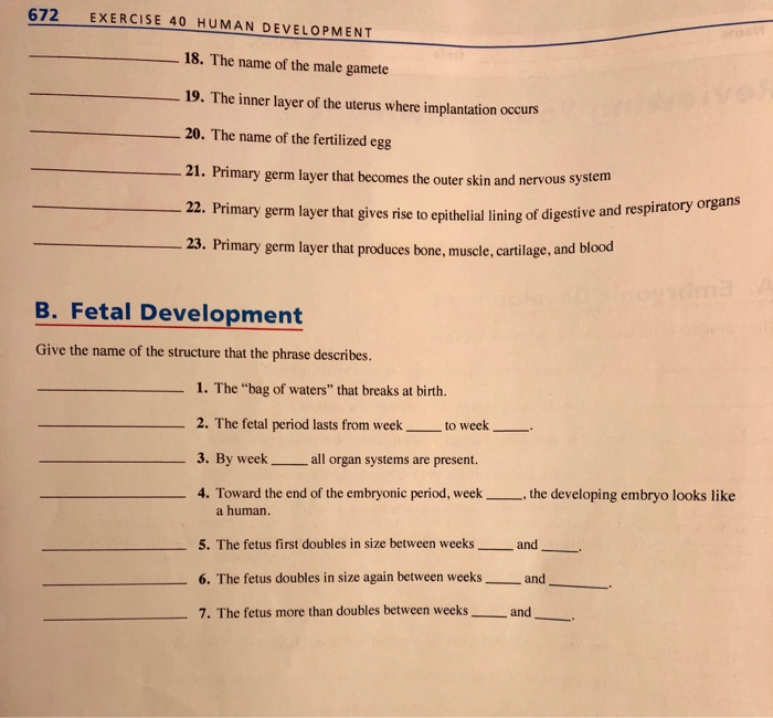 Solved Reviewing Your Knowledge EXERCISE 40 A. Embryonic | Chegg.com