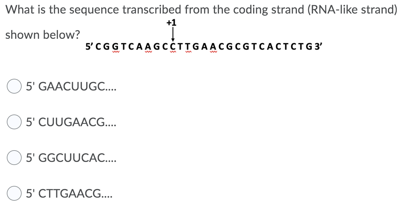 Solved What is the sequence transcribed from the coding | Chegg.com