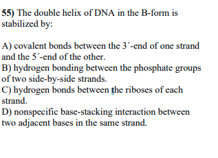 55) The double helix of DNA in the B-form is | Chegg.com