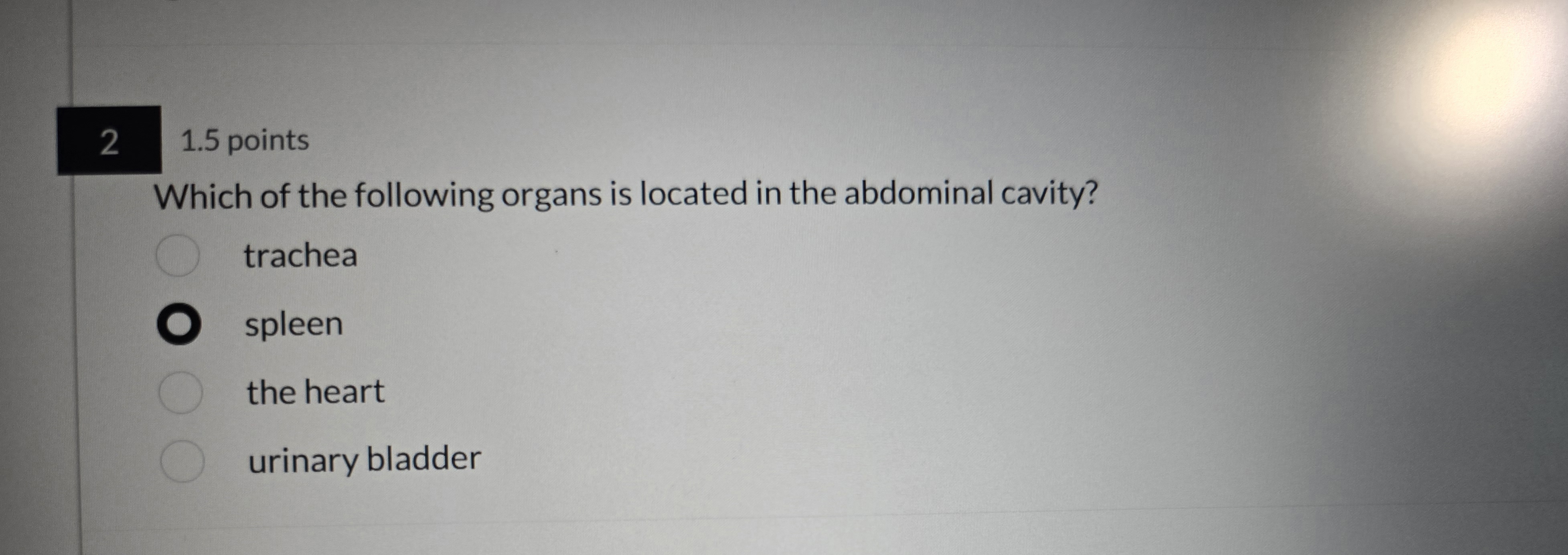 Solved 2 1.5 ﻿pointsWhich of the following organs is located | Chegg.com