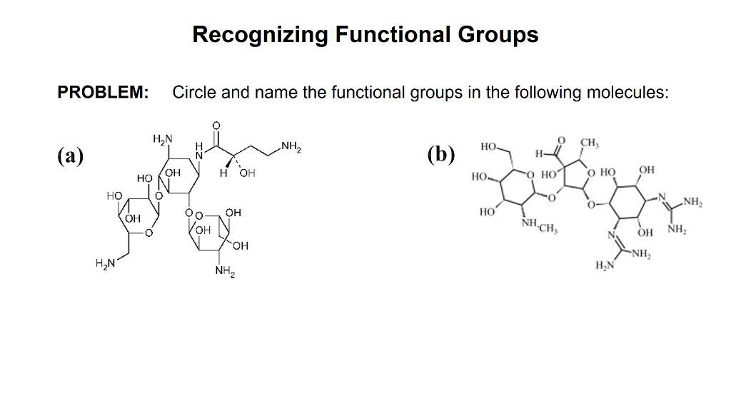 Solved RECOGNIZING FUNCTIONAL GROUPS Circle and name the | Chegg.com