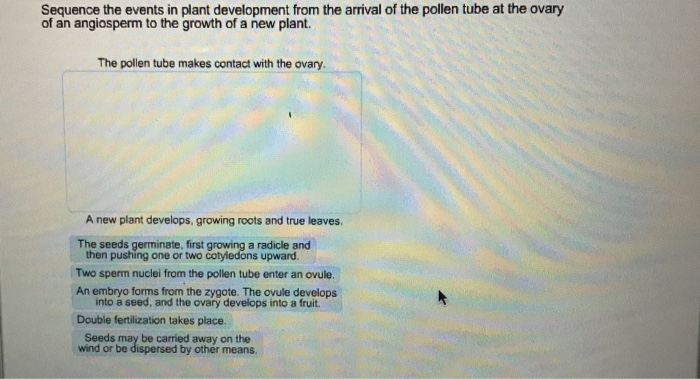 Solved Sequence the events in plant development from the | Chegg.com