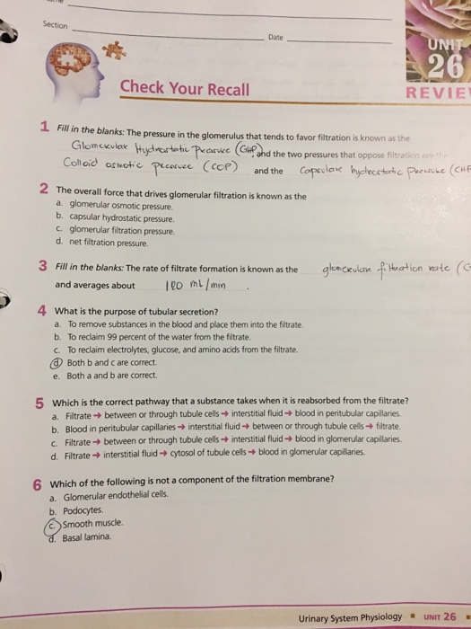Solved Section Date Uni 2 Revie Check Your Recall 1 Fill In