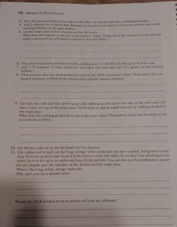 Solved 108 Exercise 12: DNA Extraction 3. Pour the pea soup | Chegg.com