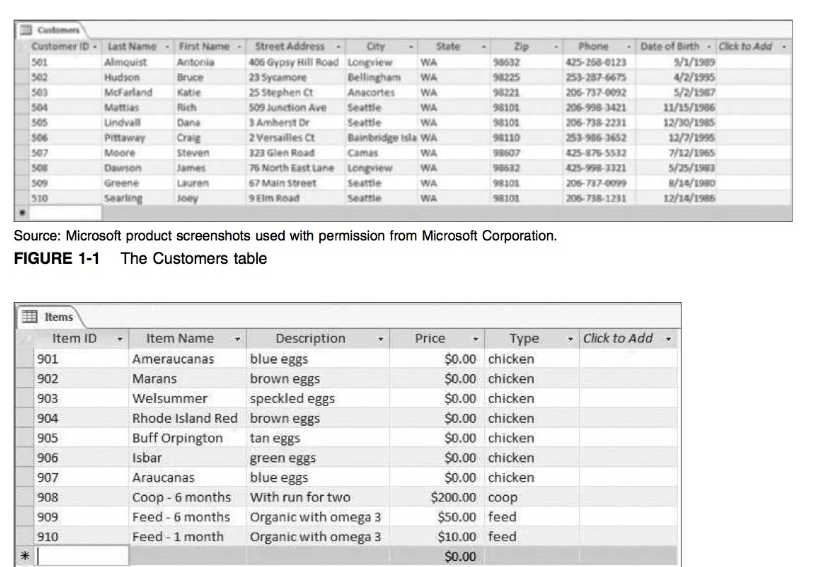 Solved I need ERD model through erdplus.com that | Chegg.com