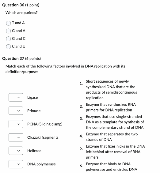 Solved Question 36 (1 point) Which are purines? T and A G | Chegg.com