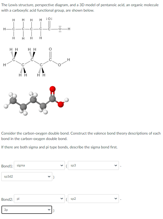 Solved The Lewis structure, perspective diagram, and a 3D | Chegg.com