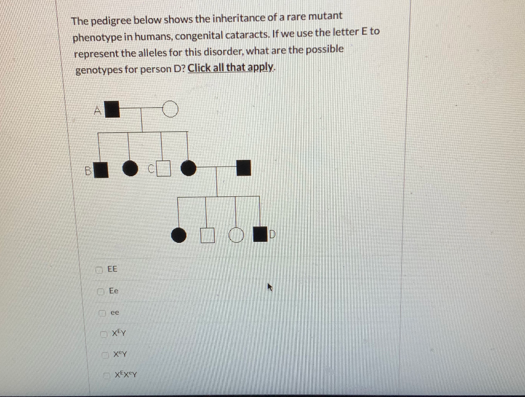 Solved The pedigree below shows the inheritance of a rare | Chegg.com