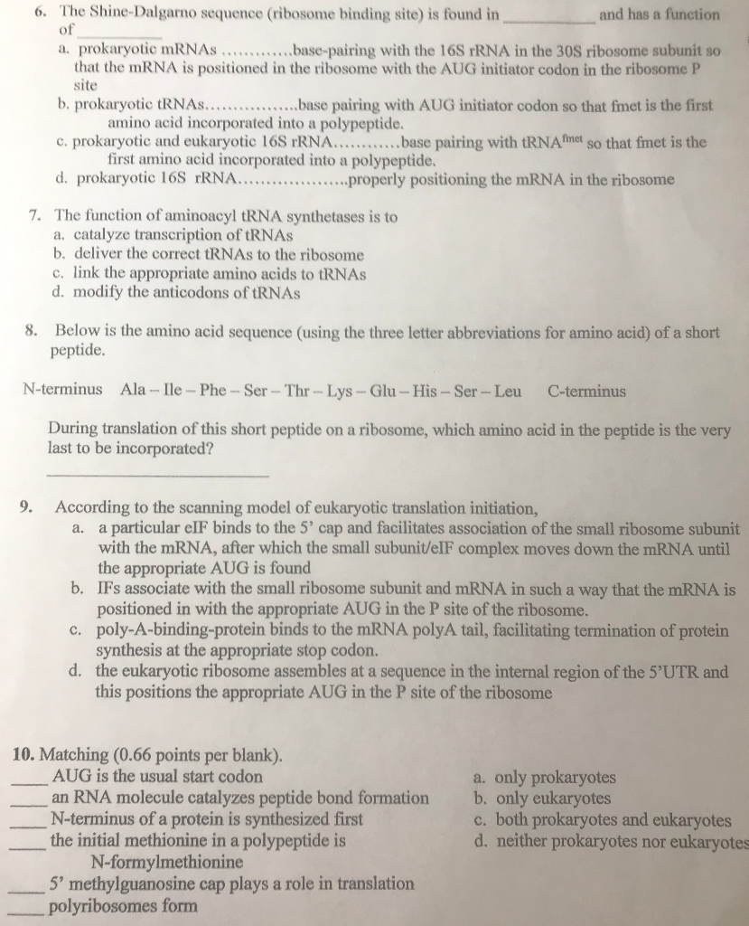 Solved 6. The Shine-Dalgarno sequence (ribosome binding | Chegg.com