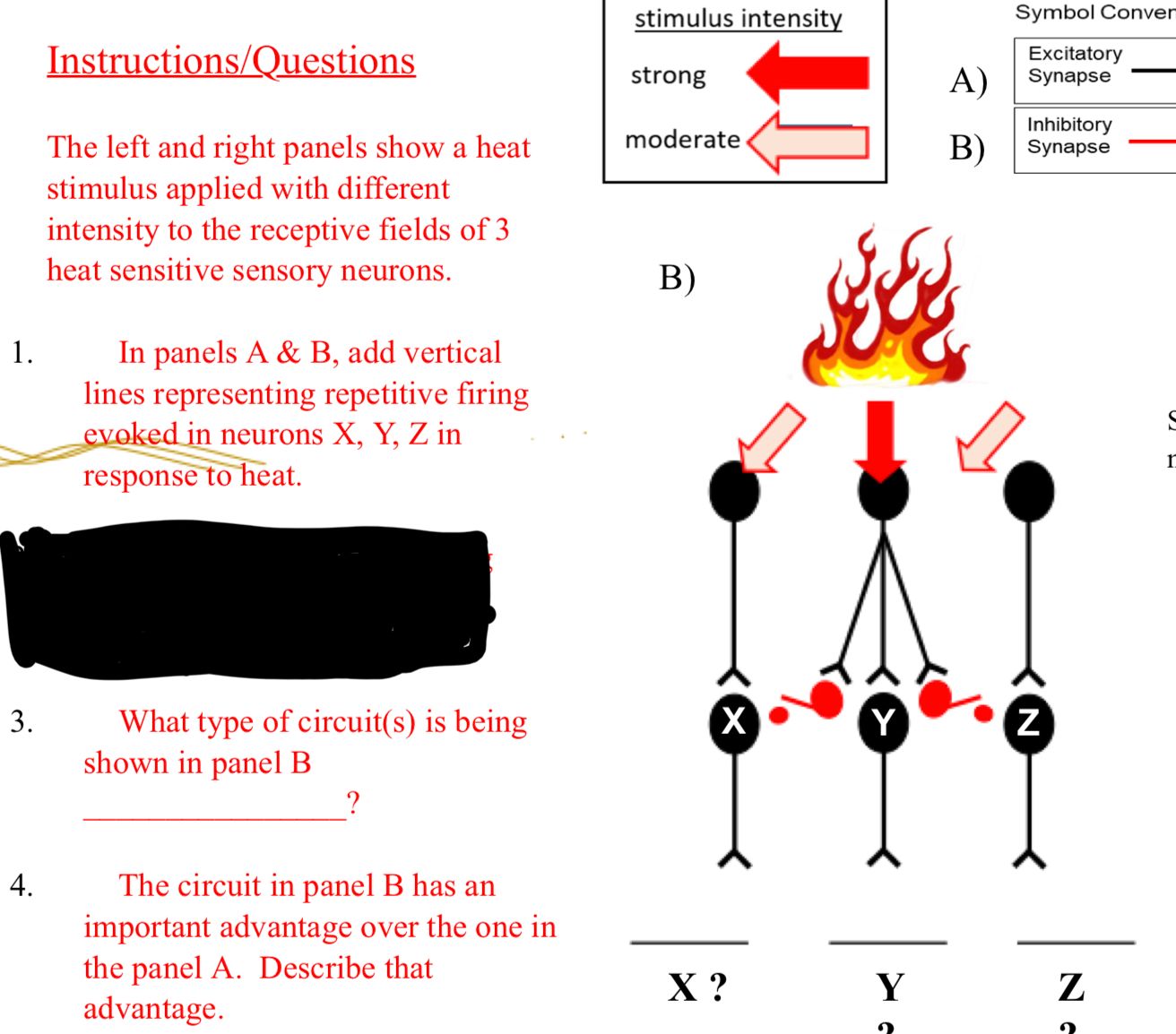 Solved Instructions/QuestionsThe left and right panels show | Chegg.com