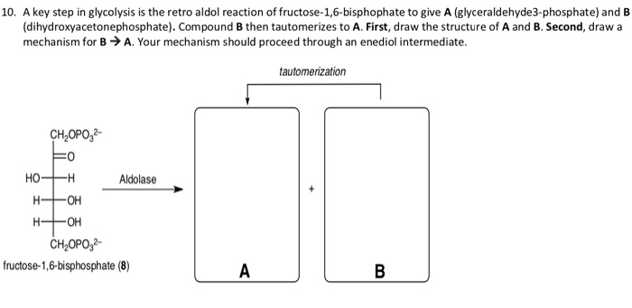 Solved 10. A key step in glycolysis is the retro aldol | Chegg.com