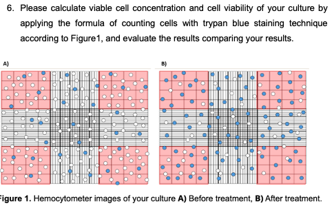 Solved 6. Please calculate viable cell concentration and | Chegg.com