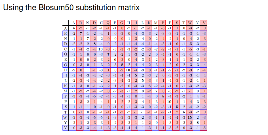 Solved Using the Blosum50 substitution matrix AR NDC QEG H I | Chegg.com