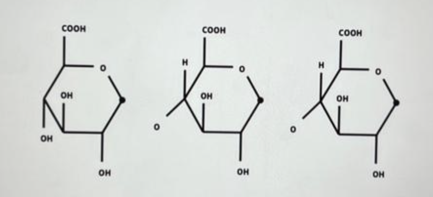 Solved Show the linkages between a trisaccharide with the | Chegg.com