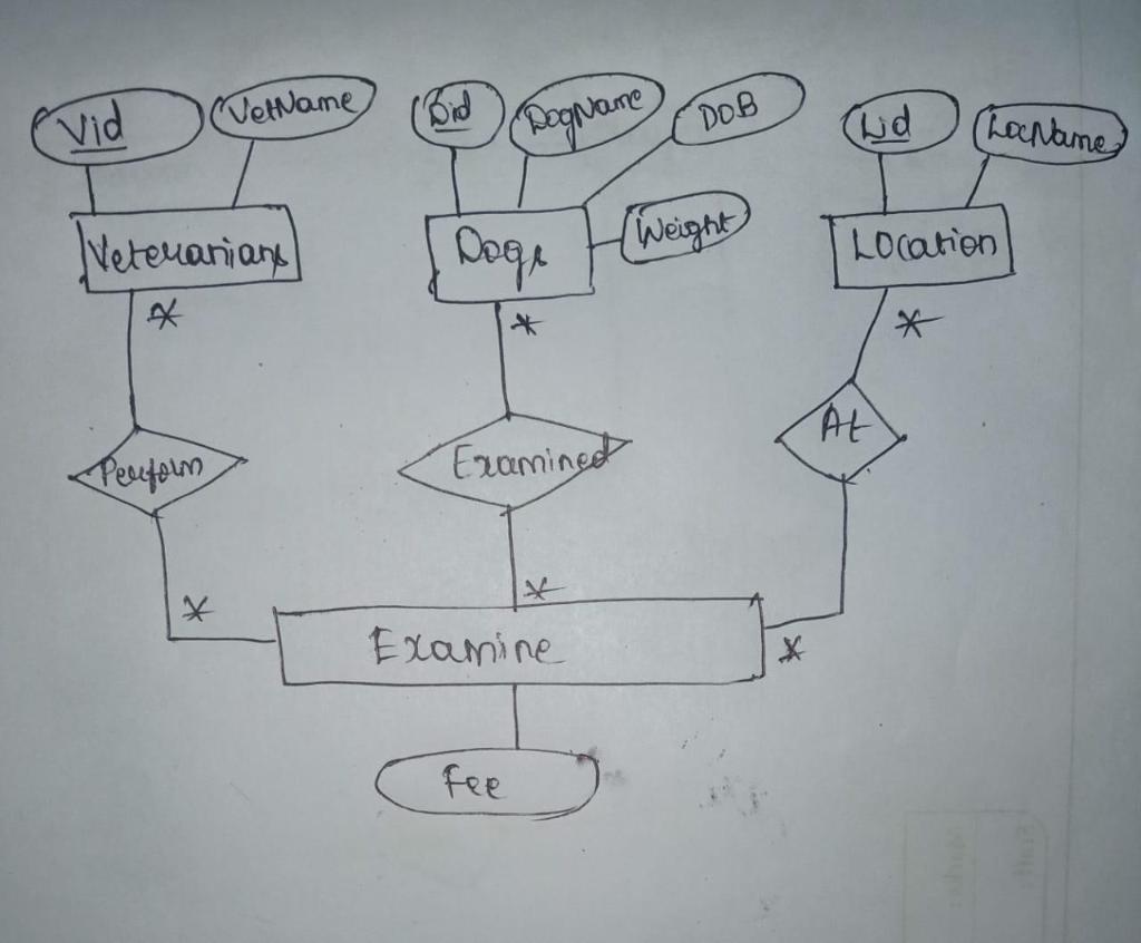 Solved Help with the project (below) Database if you have | Chegg.com