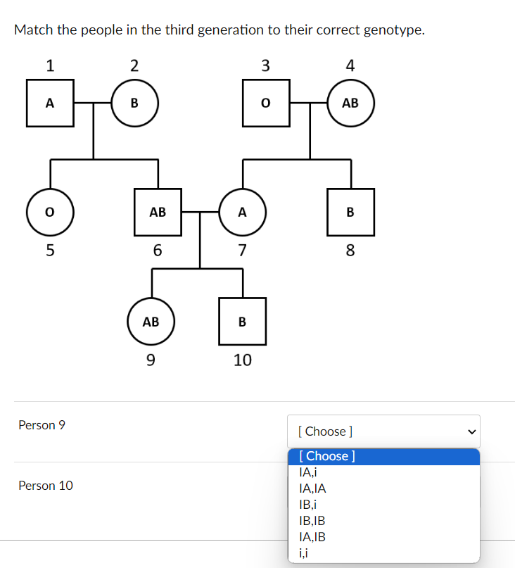 Solved Match the people in the first generation to their | Chegg.com