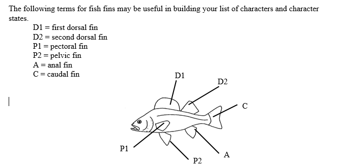 Solved Refer to the following illustrations for this | Chegg.com