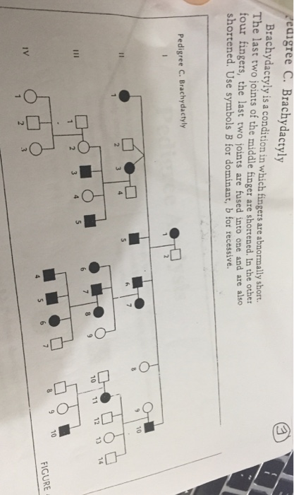 Solved Determine the genotype and phenotype based on | Chegg.com
