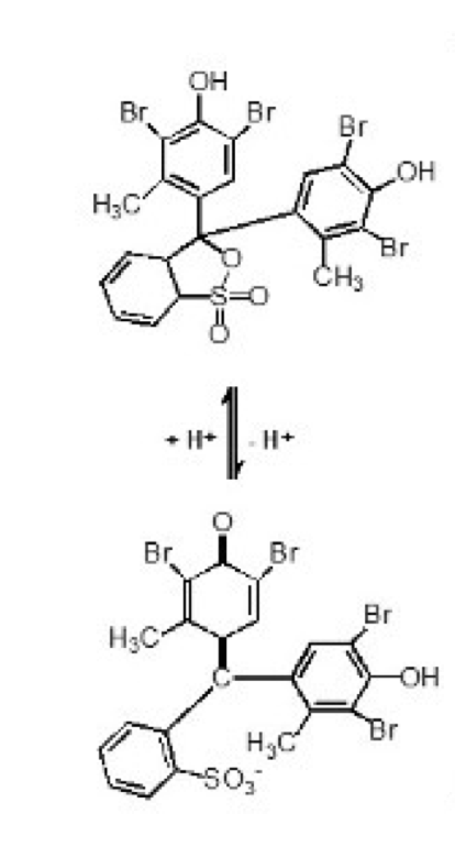 Solved Examine the chemical structures of the protonated and | Chegg.com