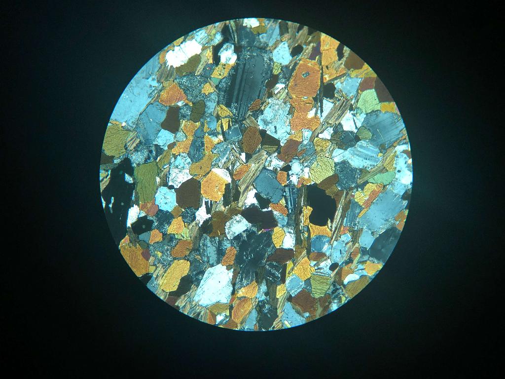 Solved 1) Briefly describe both thin section. 2)Compare and | Chegg.com