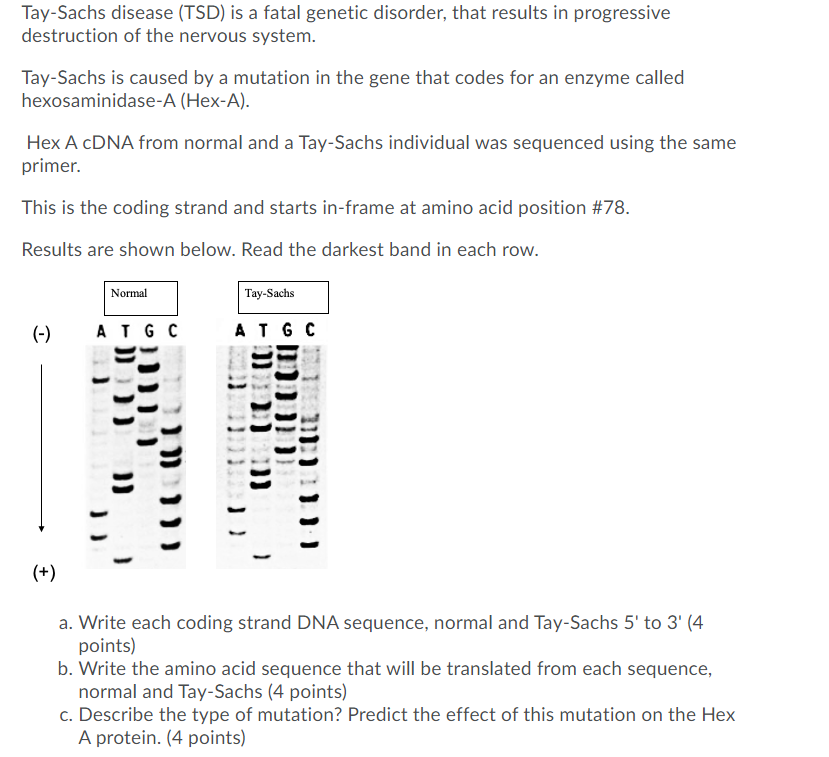Solved Tay-Sachs disease (TSD) is a fatal genetic disorder, | Chegg.com