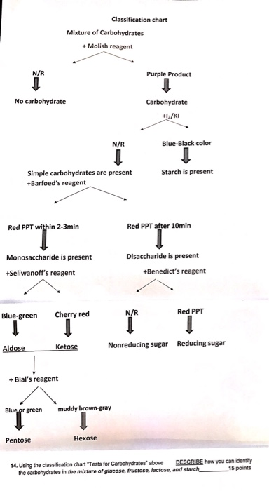 Solved Using the classification chart "Tests for | Chegg.com