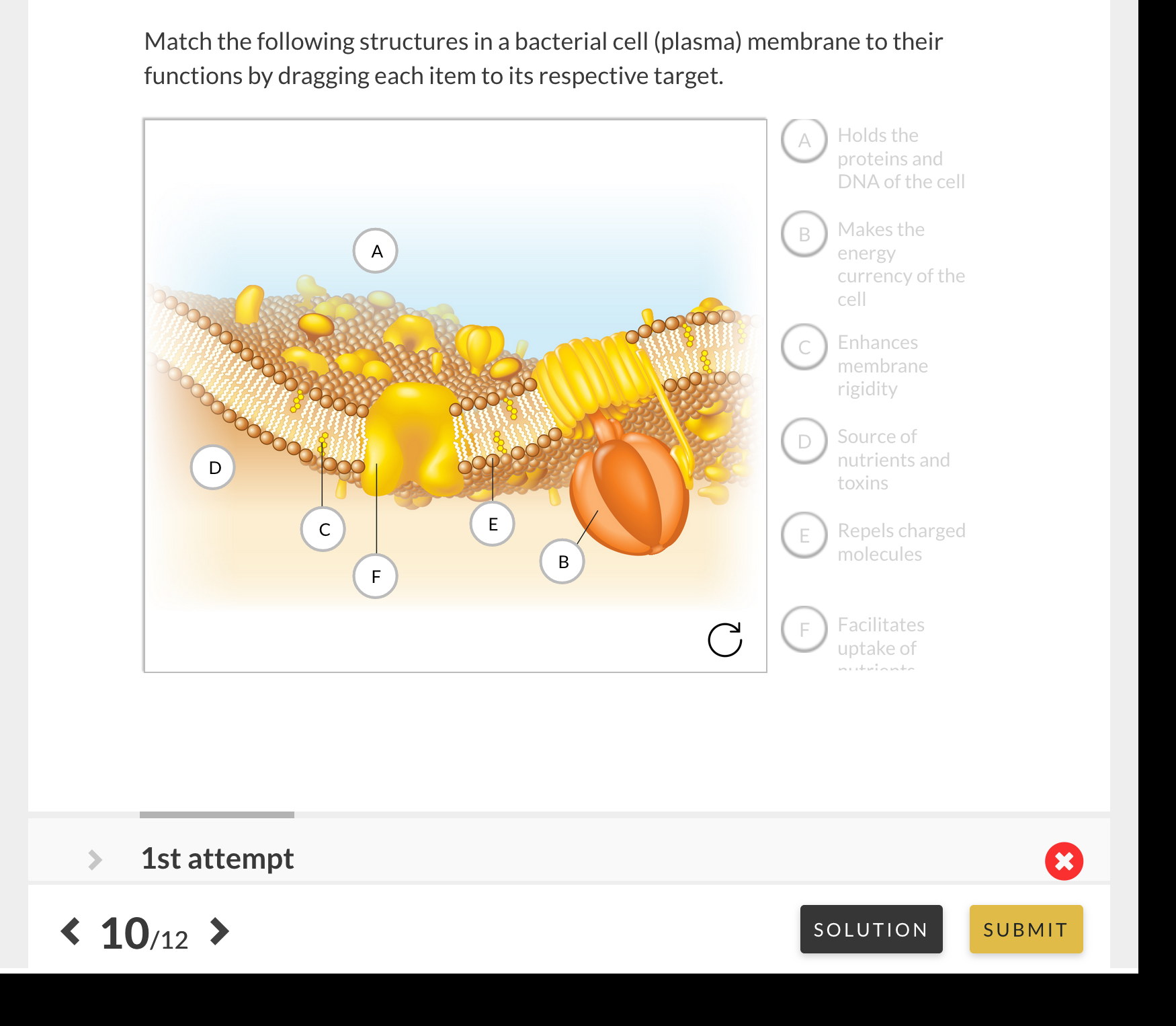 Solved Match the following structures in a bacterial cell | Chegg.com
