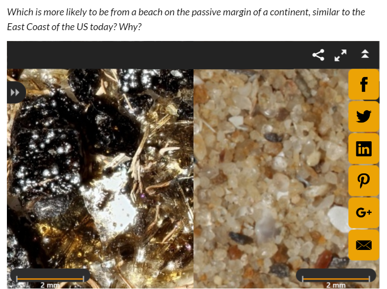 Solved Which is more likely to be from a beach on the | Chegg.com