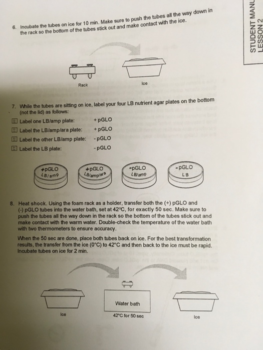 Solved Name Before collecting data and analyzing your | Chegg.com