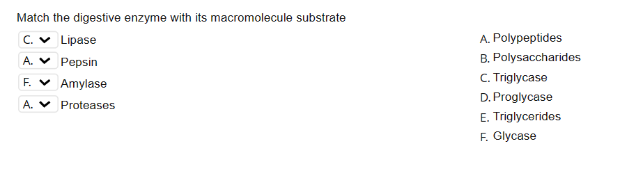 Solved Match the digestive enzyme with its macromolecule | Chegg.com