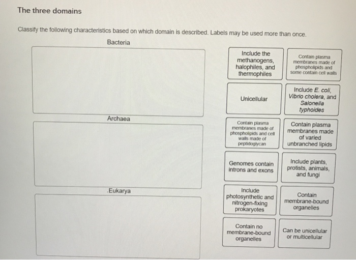 Solved The three domains Classify the following | Chegg.com Solved The three domains Classify the following | Chegg.com