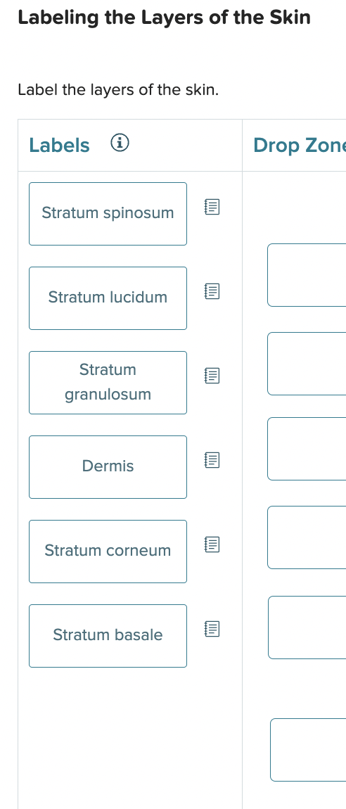 Solved Labeling the Layers of the SkinLabel the layers of | Chegg.com