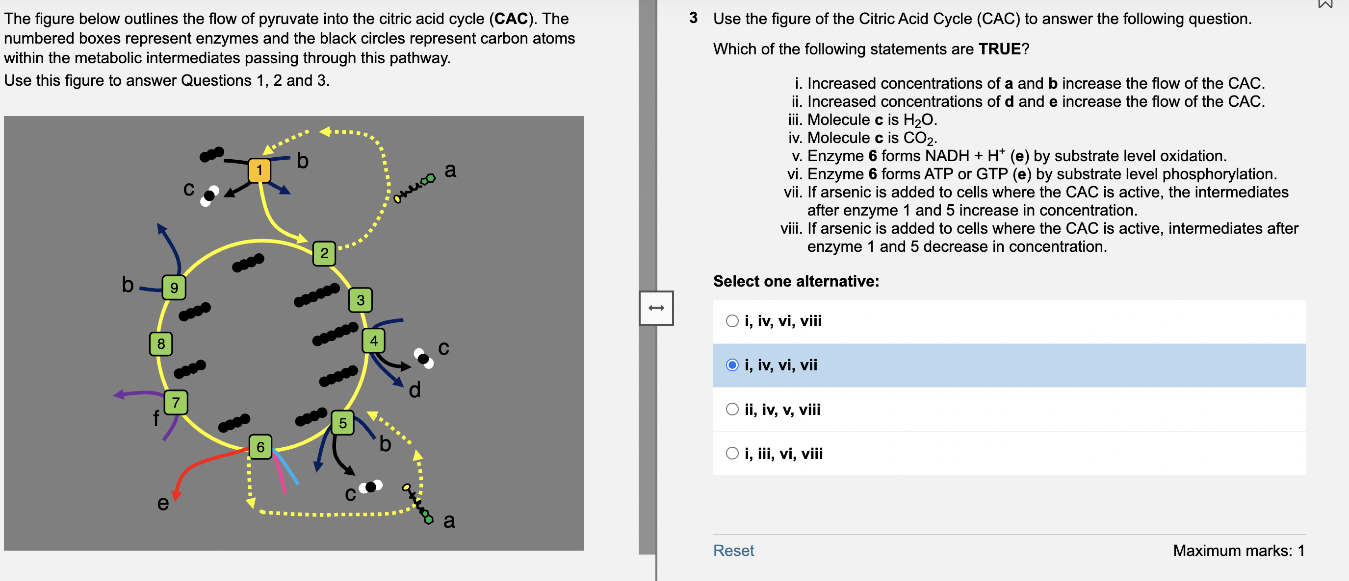 Solved The figure below outlines the flow of pyruvate into | Chegg.com