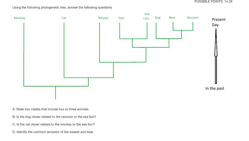Solved 1. Create a dichotomous key that can be used to | Chegg.com