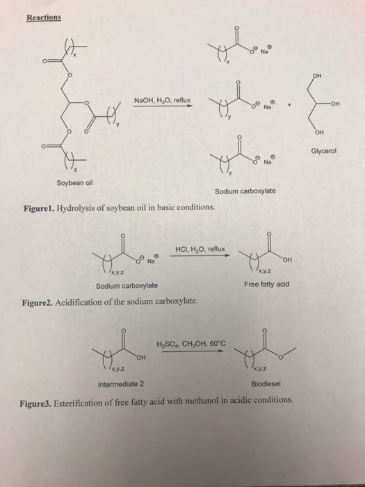 Solved uestions 1. The product of the first reaction | Chegg.com