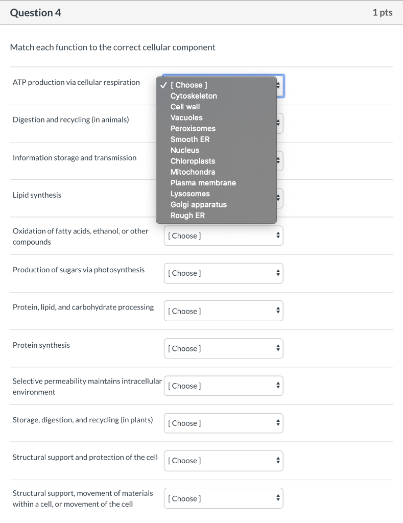 Solved Question 4 1 pts Match each function to the correct | Chegg.com