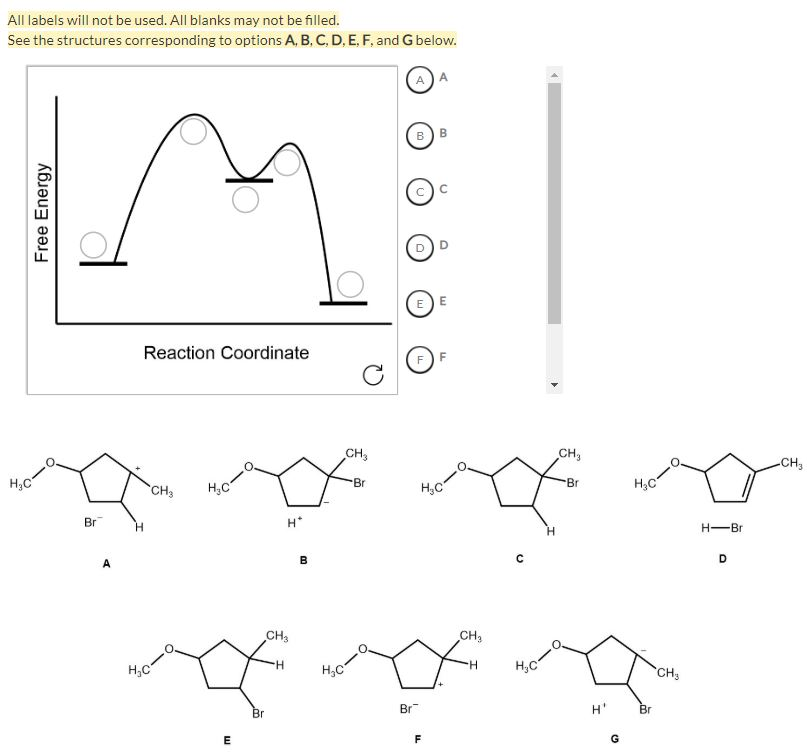 Solved Label the following free energy diagram with the | Chegg.com