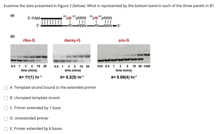 Solved Examine the data presented in Figure 2 (below). What | Chegg.com