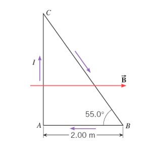 Solved A loop of wire has the shape of a right triangle (see | Chegg.com